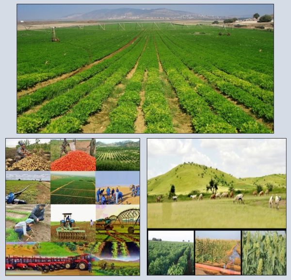 About Eritrea Eritrean Australia Community